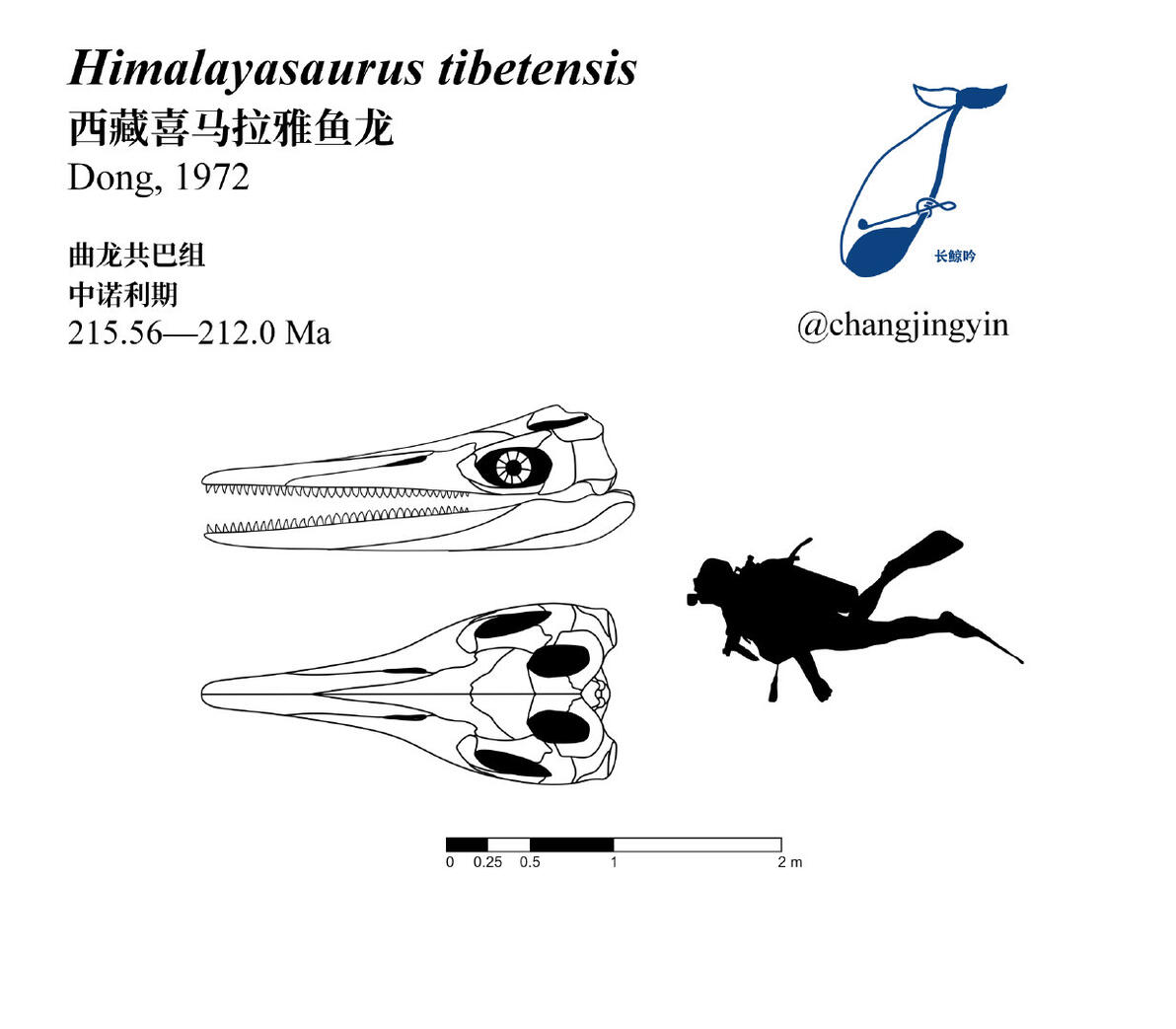 利用有限信息复原喜马拉雅鱼龙及其生态 - 哔哩哔哩