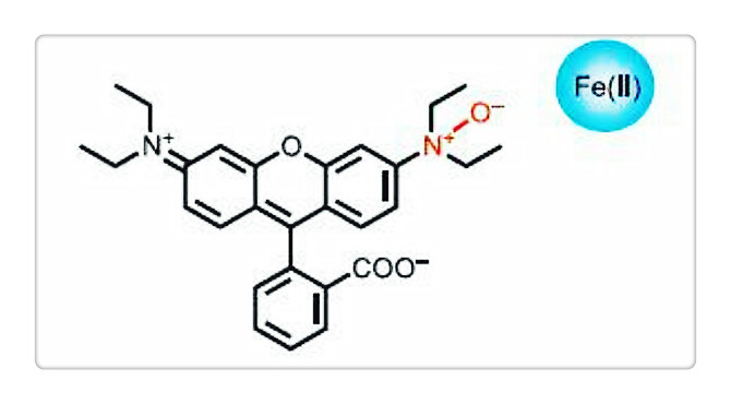 FeRhoNox-1(Fe2+indicator)是活跃的荧光探针/亚铁离子荧光探针 - 哔哩哔哩