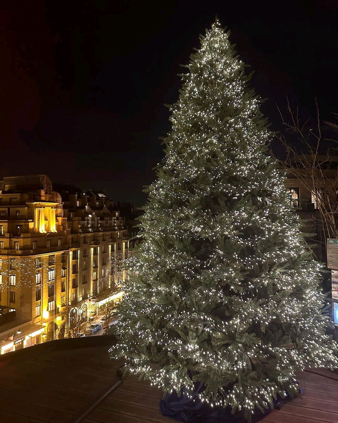 BLACKPINK: Ins12月20日更新 - 哔哩哔哩