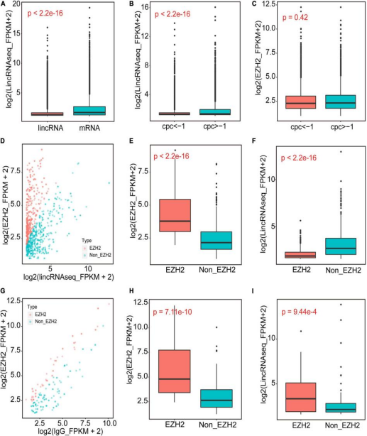 RNA结合蛋白研究技术：RIP-seq实验分析流程及案例分享 - 哔哩哔哩