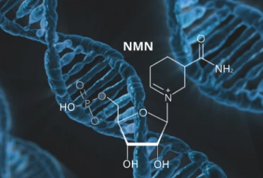 什么是nmn，nmn作用和副作用，详细阐述 - 哔哩哔哩