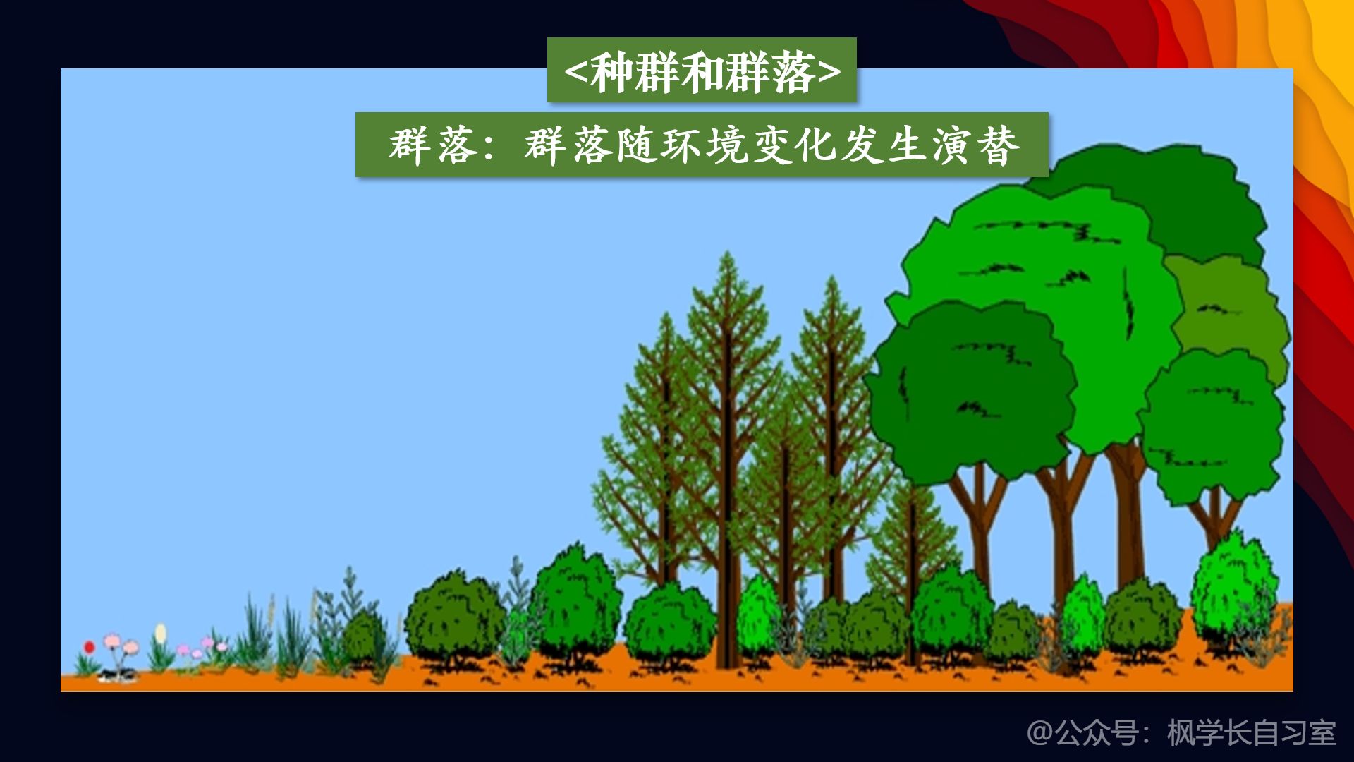 【枫学长 高中生物】:生物系统 种群群落和生态系统 哔哩哔哩