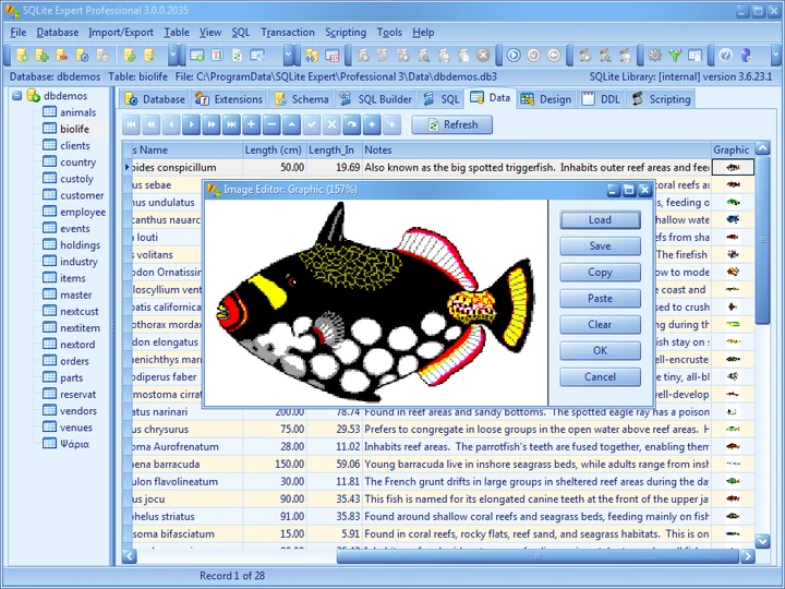 Sqlite Expert Professional 5 4 49 593 哔哩哔哩