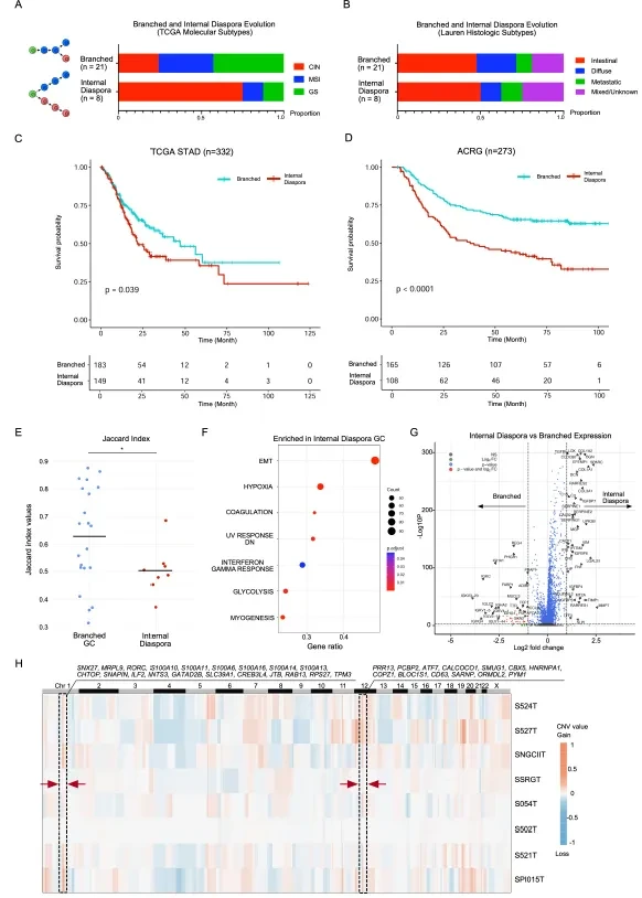 Cancer Discovery | Stereo-seq助力揭示胃癌发展过程中的空间异质性及细胞状态变化 - 哔哩哔哩