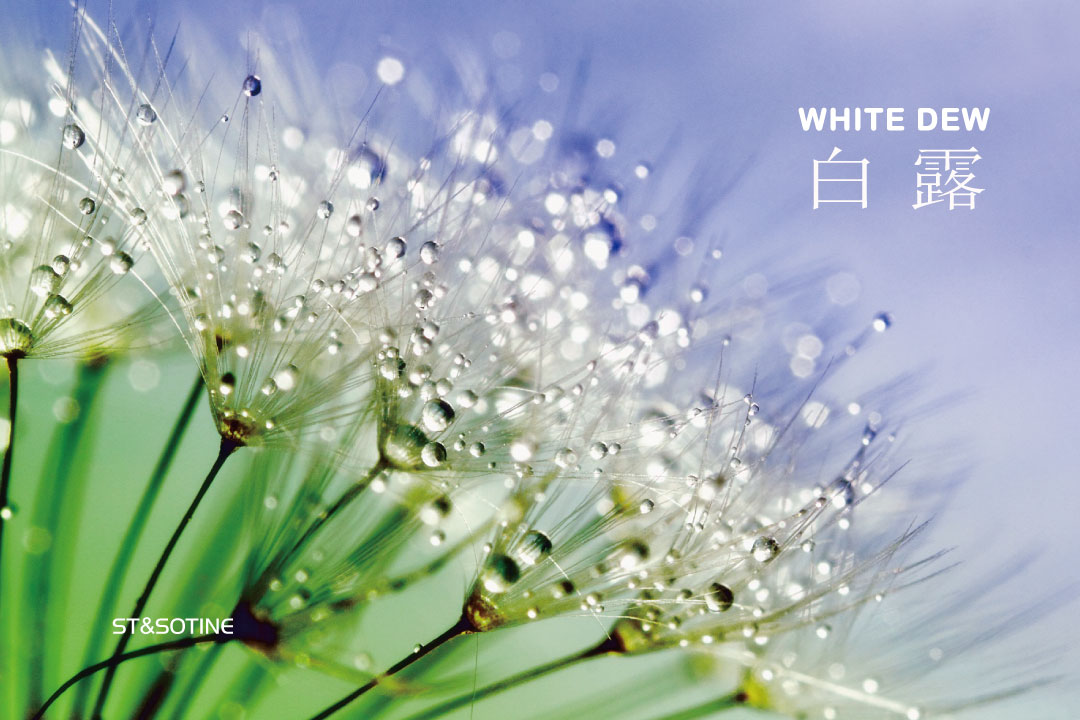 白露 你最想知道的节气含义 ？ 索汀 ST&SOTINE - 哔哩哔哩