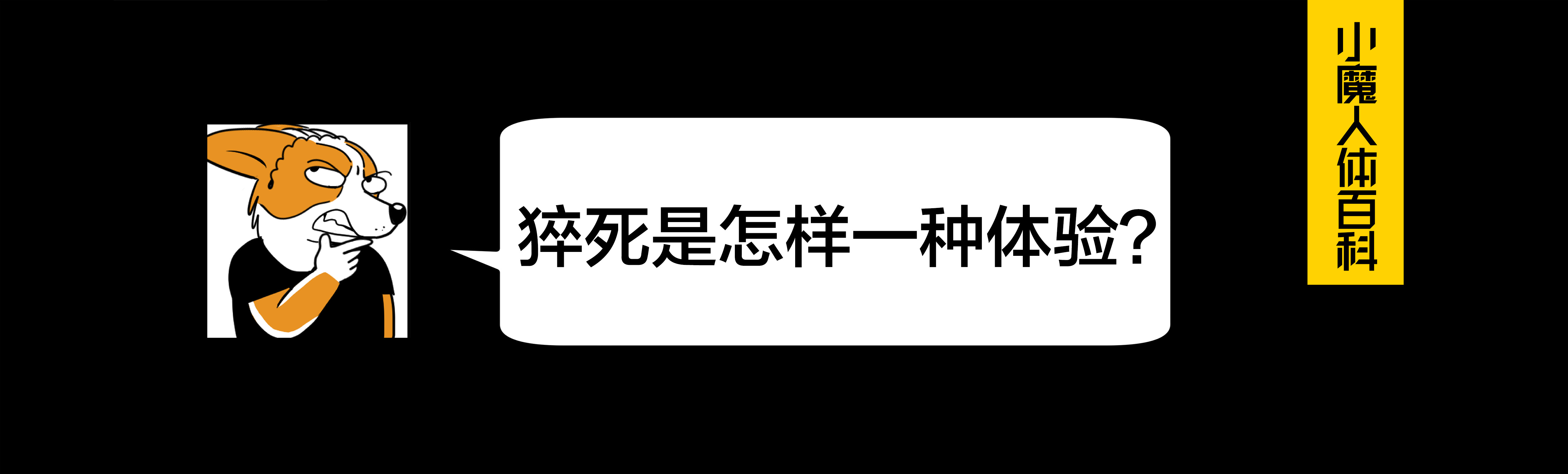 硬核科普：猝死是怎样一种体验？建议熬夜的都看看！|小魔人体百科002 - 哔哩哔哩