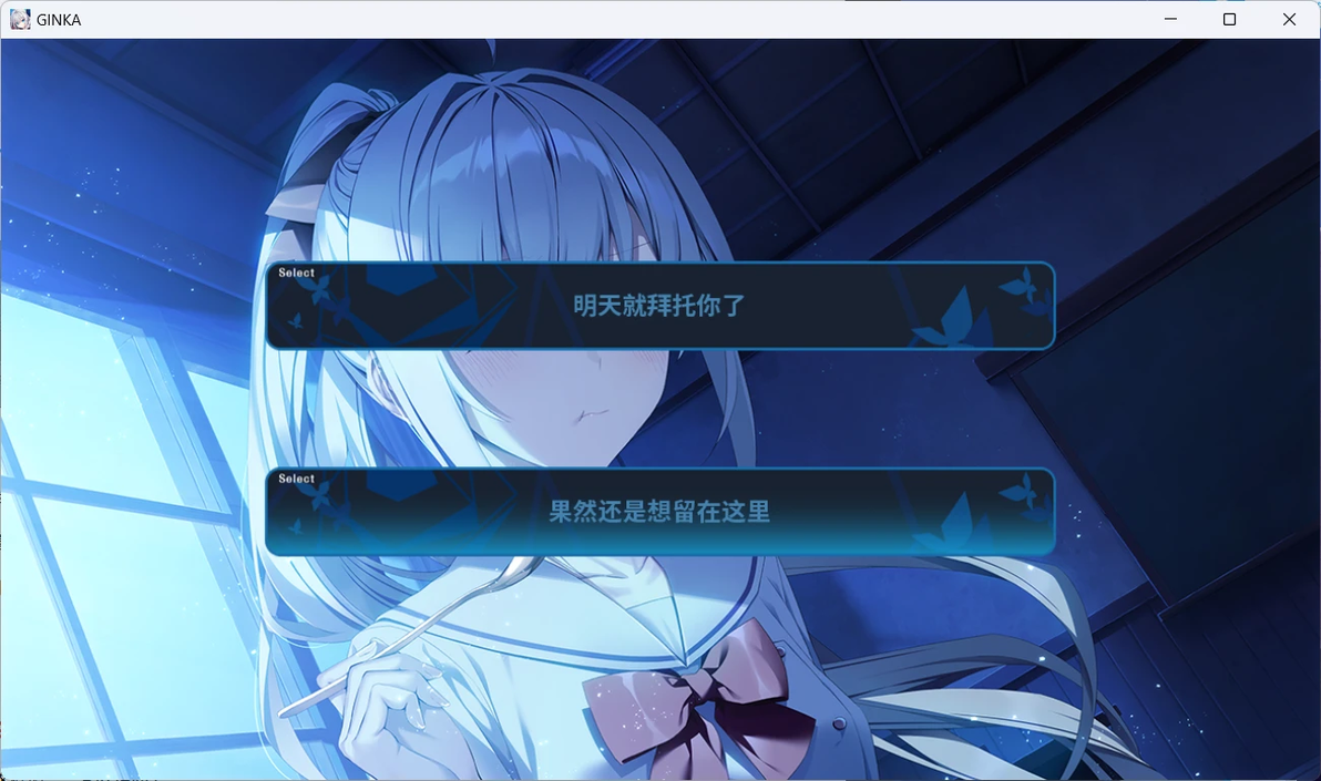 《GINKA》直装+KR+PC资源，攻略，4KCG集，无剧透简评 - 哔哩哔哩