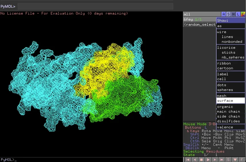 PyMOL：您真正需要知道的 10 个非常基本的命令【04】 - 哔哩哔哩