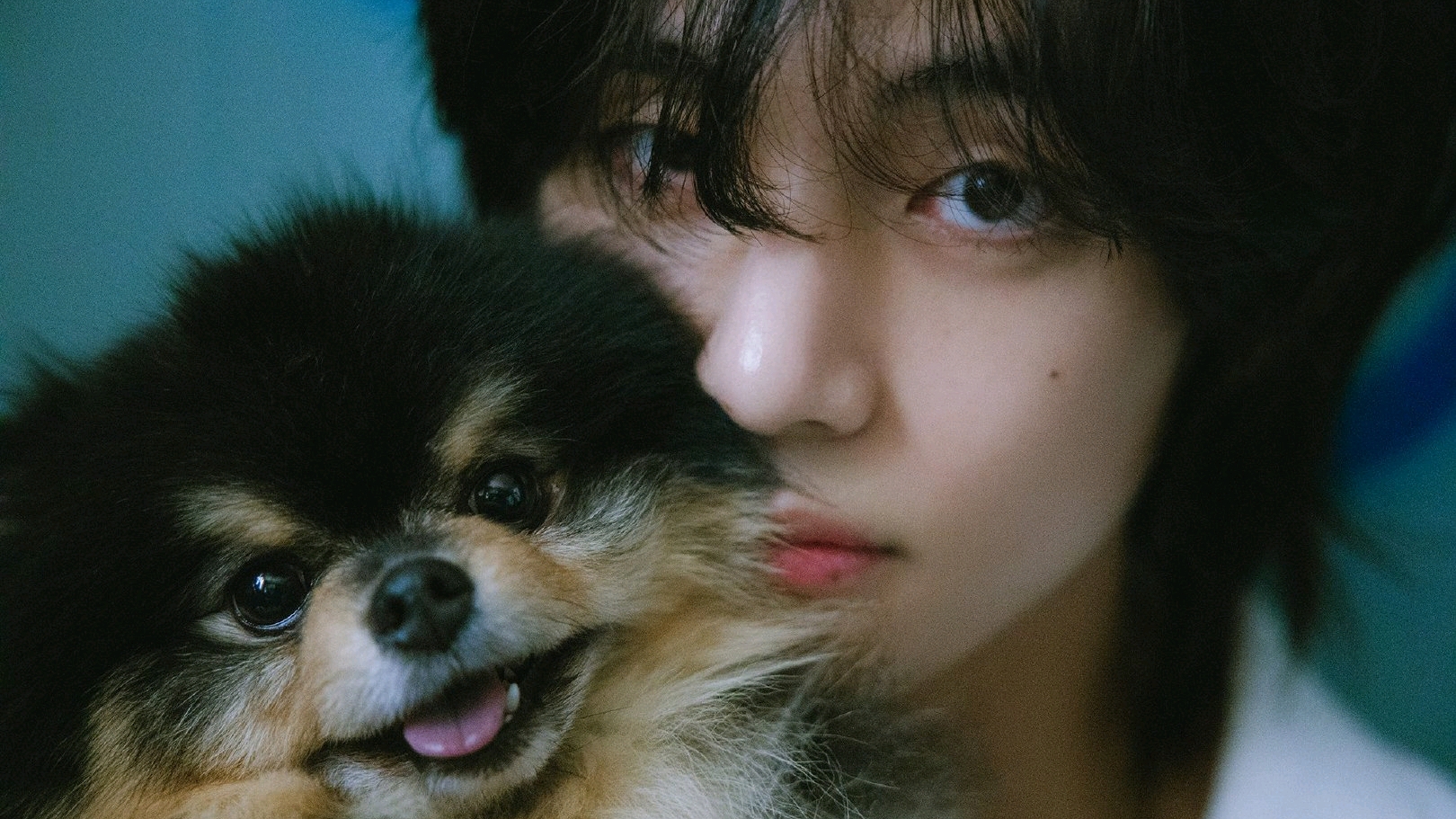 LAYO(V)ER. 金泰亨solo预告照 - 哔哩哔哩