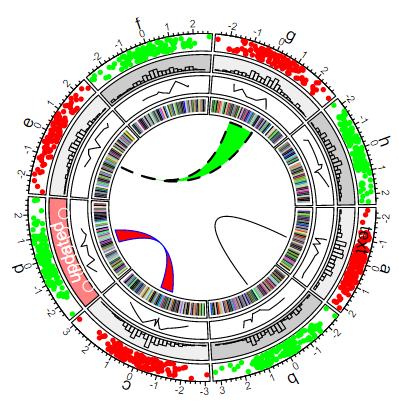 如何使用R语言circlize包绘制漂亮圈图（一） - 哔哩哔哩