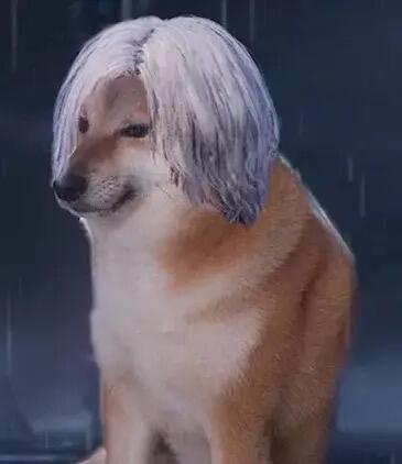 cheem/doge合集【1】｜正常人用的表情包 - 哔哩哔哩