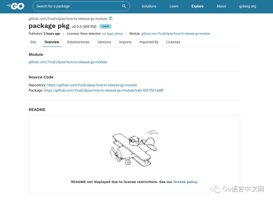 如何"优雅"地发布自己的 go module 模块到 pkg.go.dev - 哔哩哔哩