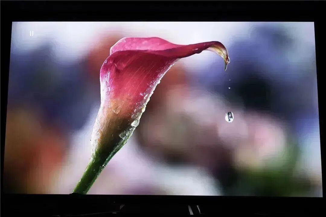 一个视频发烧友的索尼VPL-XW5000激光投影机测评 - 哔哩哔哩