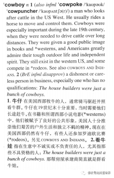 cowboy可不单单是指牛仔，另外一个意思可能出乎你的意料 - 哔哩哔哩