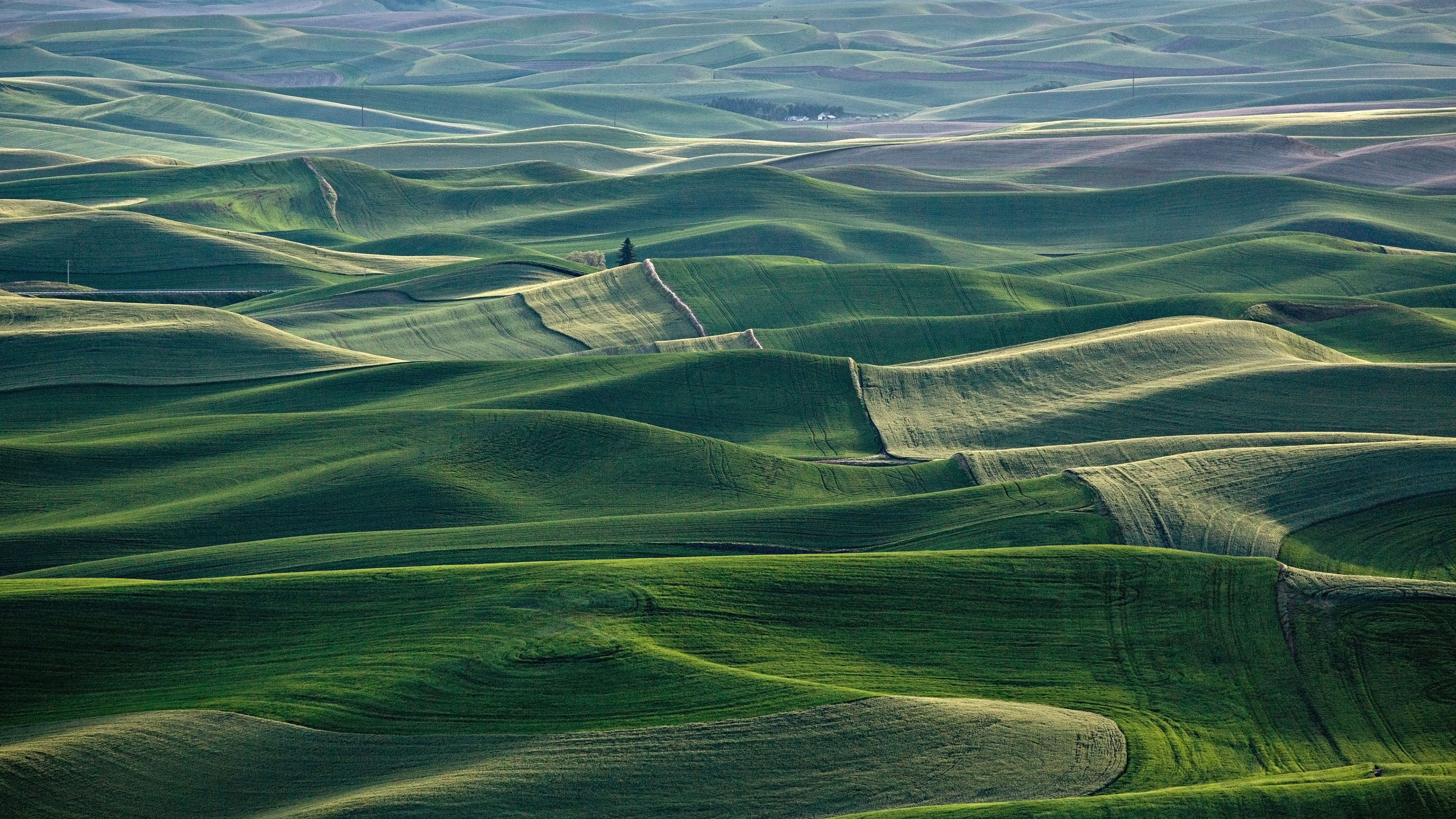 Smartisan TNT 壁纸 - 哔哩哔哩