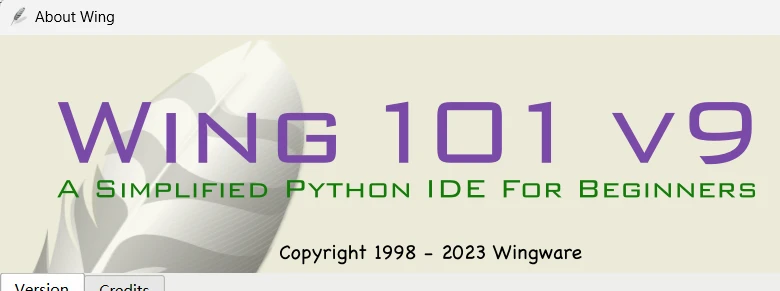 为什么 Wing 101 是一款值得入手 Python IDE？ - 哔哩哔哩
