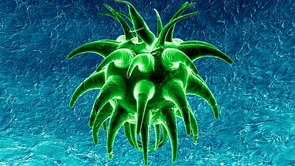 scp－340－病毒致换气膜 - 哔哩哔哩