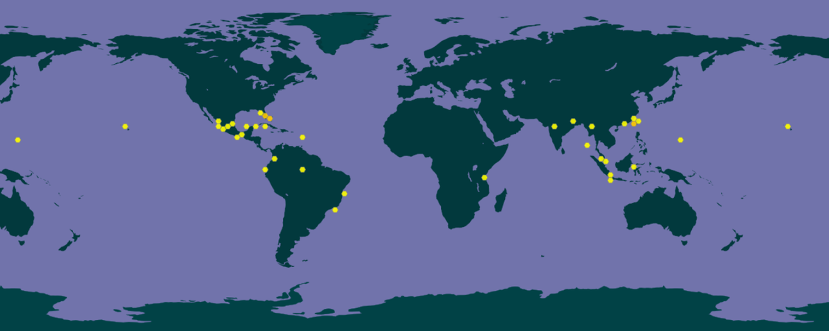 卫蚣属Rhysida全属分类 介绍以及部分品种图鉴 - 哔哩哔哩