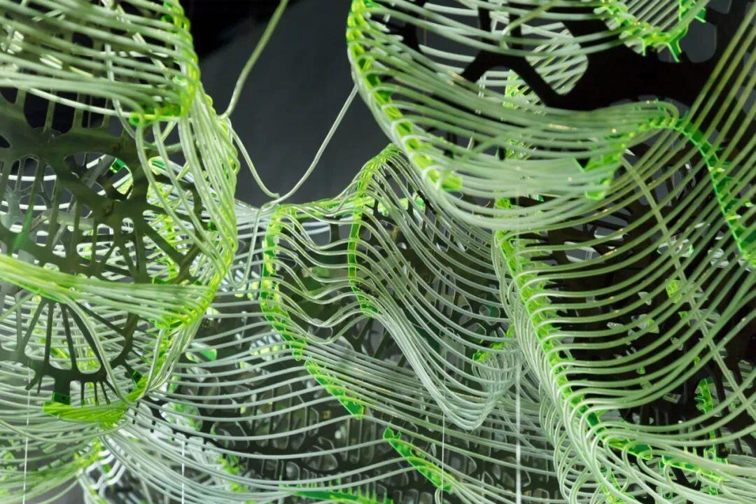 CY TALK | 生物设计科学怪人 ecoLogicStudio 如何运用藻类融入我们的生活 - 哔哩哔哩