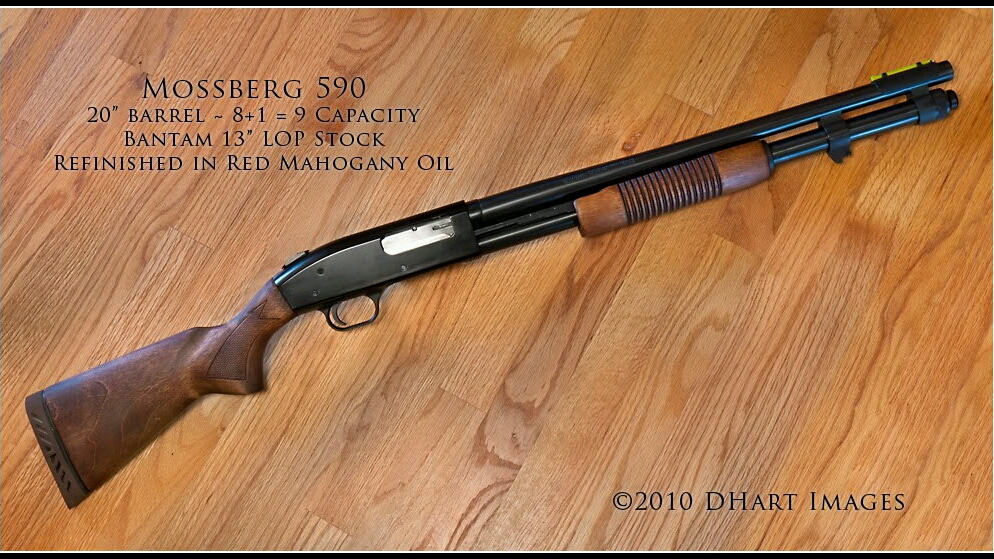 轻武器科普之M590——经济实惠，坚固耐用 - 哔哩哔哩