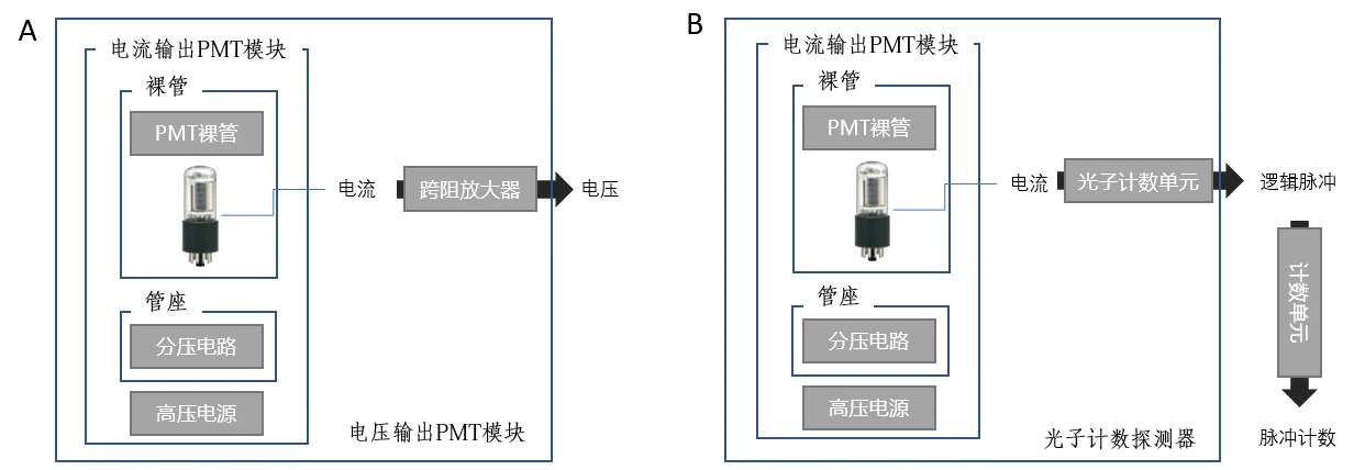 光电倍增管（photomultiplier tube，PMT）：选型与使用 - 哔哩哔哩