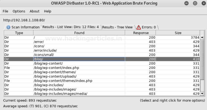 Kali系统目录爆破Dirbuster工具综合指南 - 哔哩哔哩