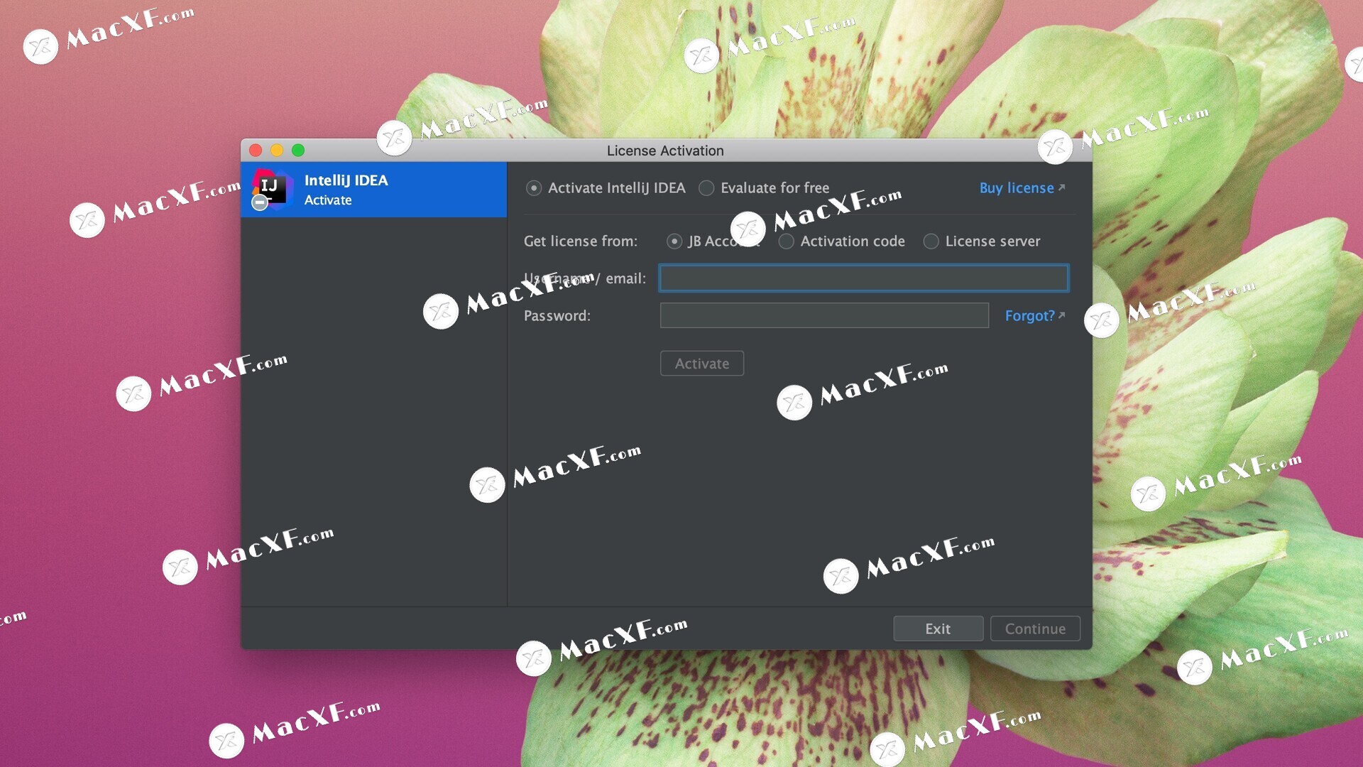 IntelliJ IDEA 2021Mac中文永久试用版(Java开发工具)2021.2.3 - 哔哩哔哩