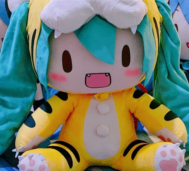 关于哈次家のFUFU成员介绍（持续更新） - 哔哩哔哩