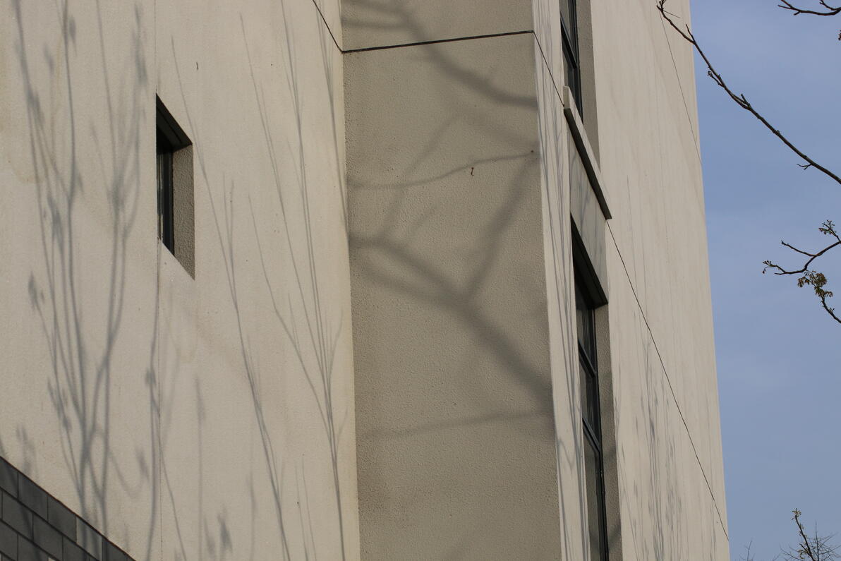 如果你记录下了梦麟的春天 - 哔哩哔哩