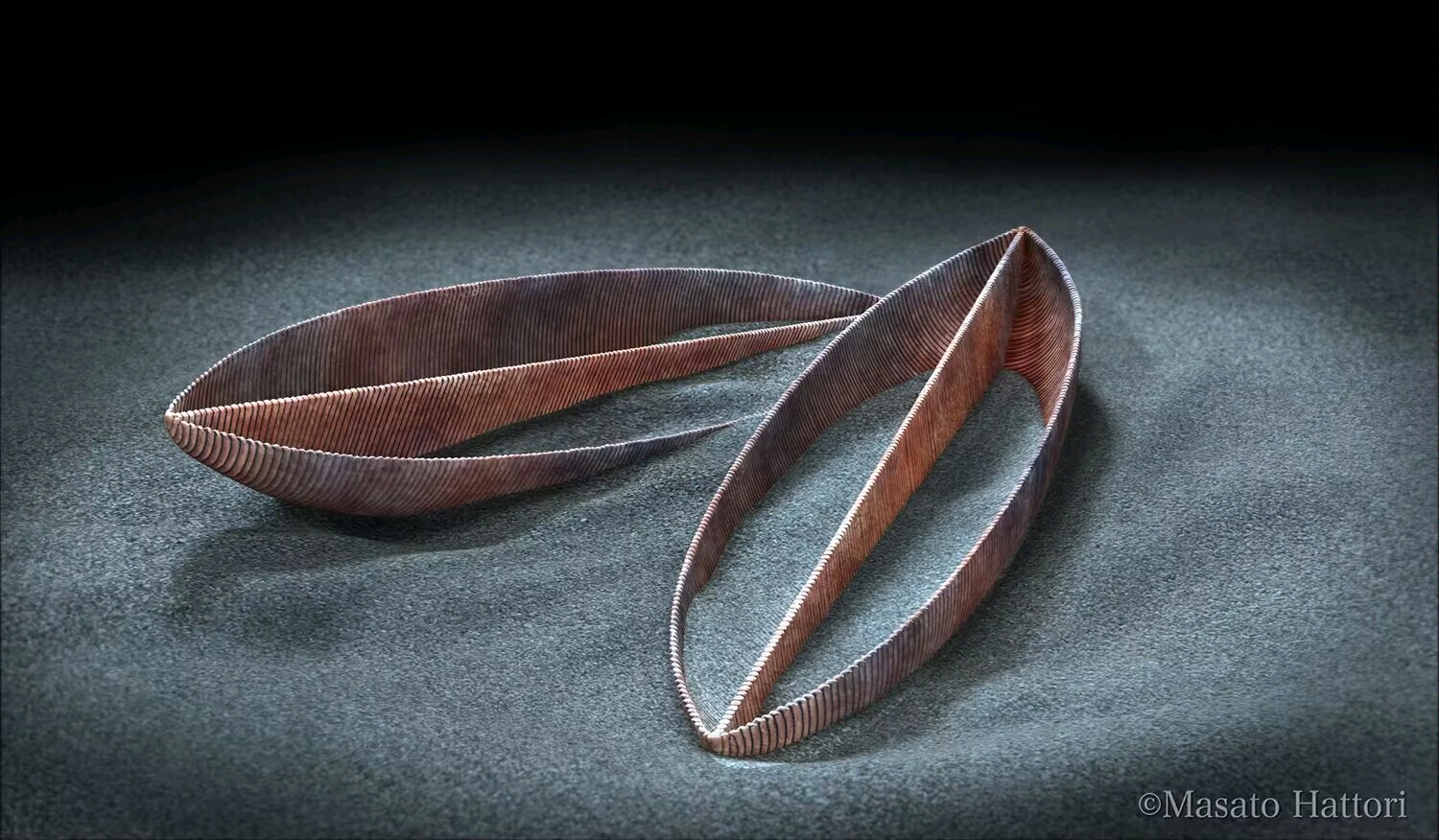 远古时期的异界之花——花瓣动物门（Petalnamae） - 哔哩哔哩