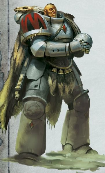 【战锤40K/杂谈】逐渐崭露头角的原铸星际战士（手术改造、装备和编制） - 哔哩哔哩