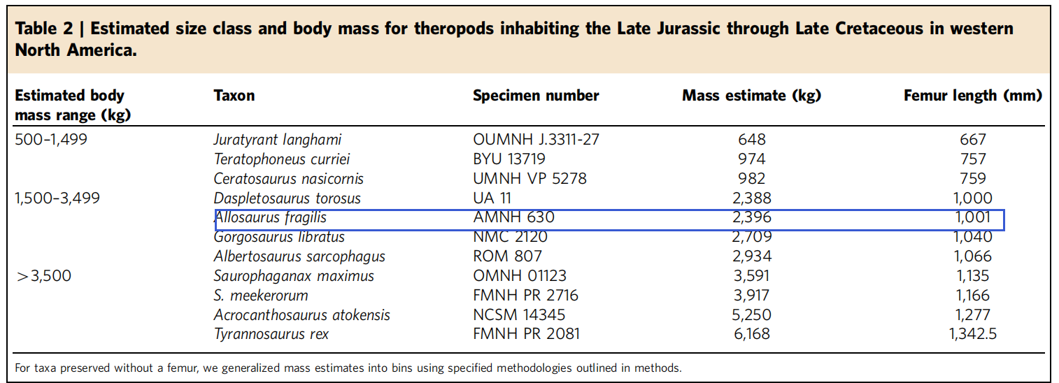 AMNH 680的若干个版本， Carrano设下的悬案？？？chure拥有一手实测的数据？？？ - 哔哩哔哩