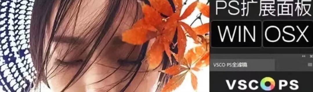 Vsco全滤镜ps插件汉化版，支持Win/Mac系统 - 哔哩哔哩