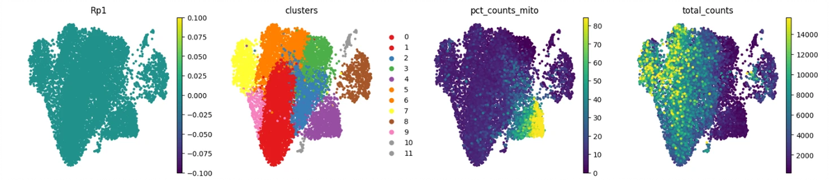 从小白到空转达人：小云教你用Scanpy包玩转前沿热点空间转录组分析！ - 哔哩哔哩