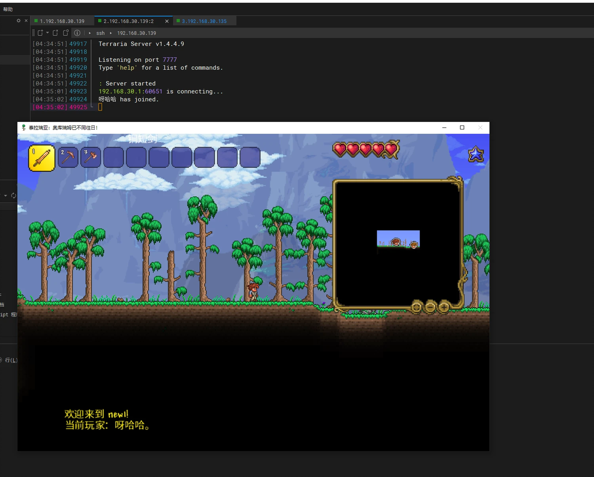使用Docker运行steamcmd（附带使用docker运行泰拉瑞亚服务端） - 哔哩哔哩