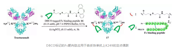 DBCO-PEG2-NH-Boc|2377004-08-3|靶点PEGs或Alkyl/ether用于合成 PROTAC分子 - 哔哩哔哩