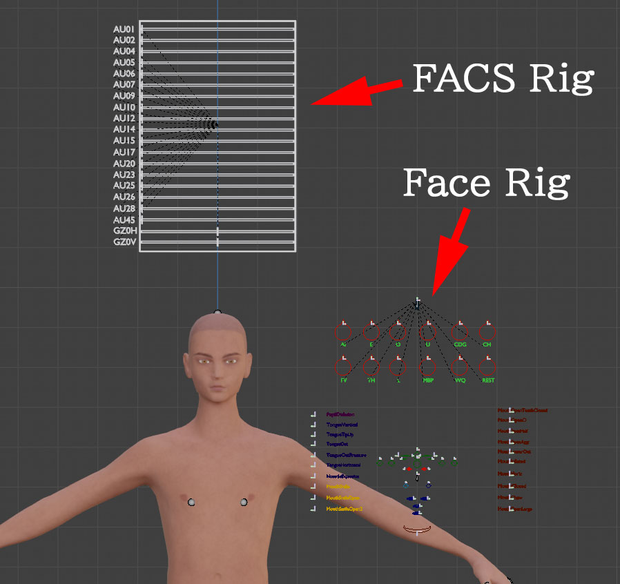 MB-LAB---------blender - 哔哩哔哩