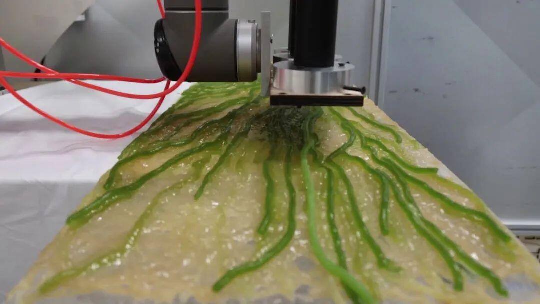 CY TALKS | CSM BIO DESIGN 生物设计—为真实的世界做设计（上） - 哔哩哔哩