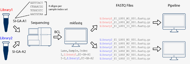 一文轻松玩转10X单细胞转录组官方分析软件CellRange - 哔哩哔哩