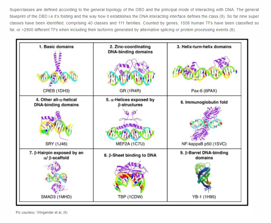 什么是转录因子(Transcription Factors)？ - 哔哩哔哩