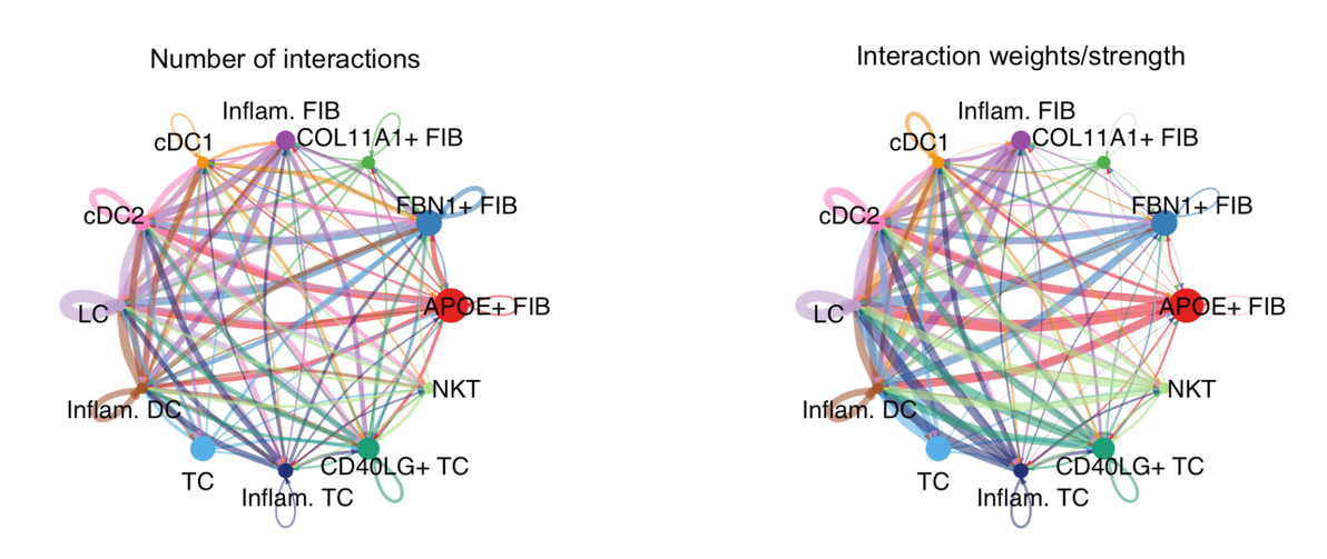【单细胞测序】cellchat详解，v1.1.3（20210814更新版本），单个对象的分析 - 哔哩哔哩