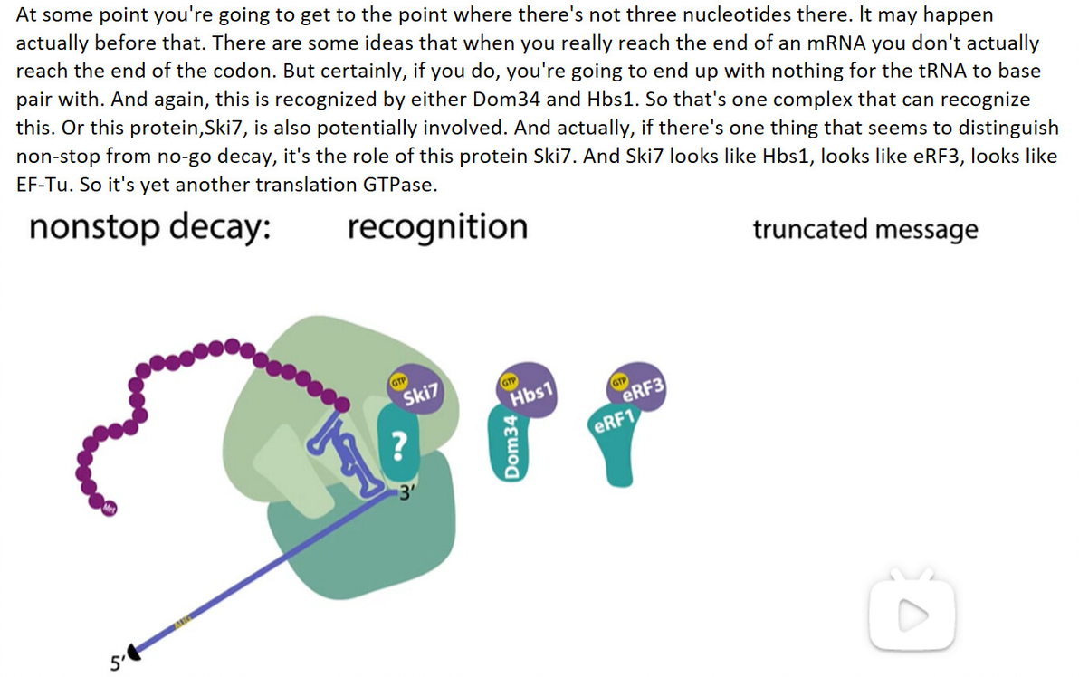 MIT 分子生物学 part3 8.9 Nonstop-Mediated versus No-go Decay (mRNA Re - 哔哩哔哩