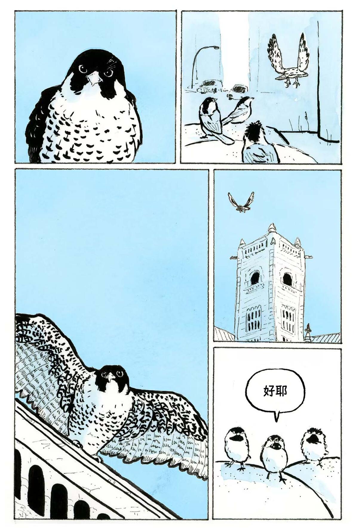 【漫画翻译】生生不息 / Life After Life - False Knees 24年11月连载(上) - 哔哩哔哩