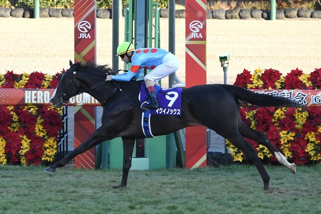 【全图鉴】日本JRA年度代表马（1954-2022） - 哔哩哔哩