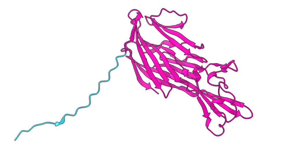 ChimeraX使用教程【06】基于AlphaFold预测蛋白质的3D结构 - 哔哩哔哩