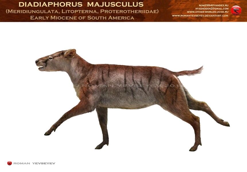 关于窃鹤的一些简介 - 哔哩哔哩