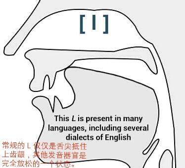 【音标学习】英语 dark L 的正确发音动作与舌位图 - 哔哩哔哩