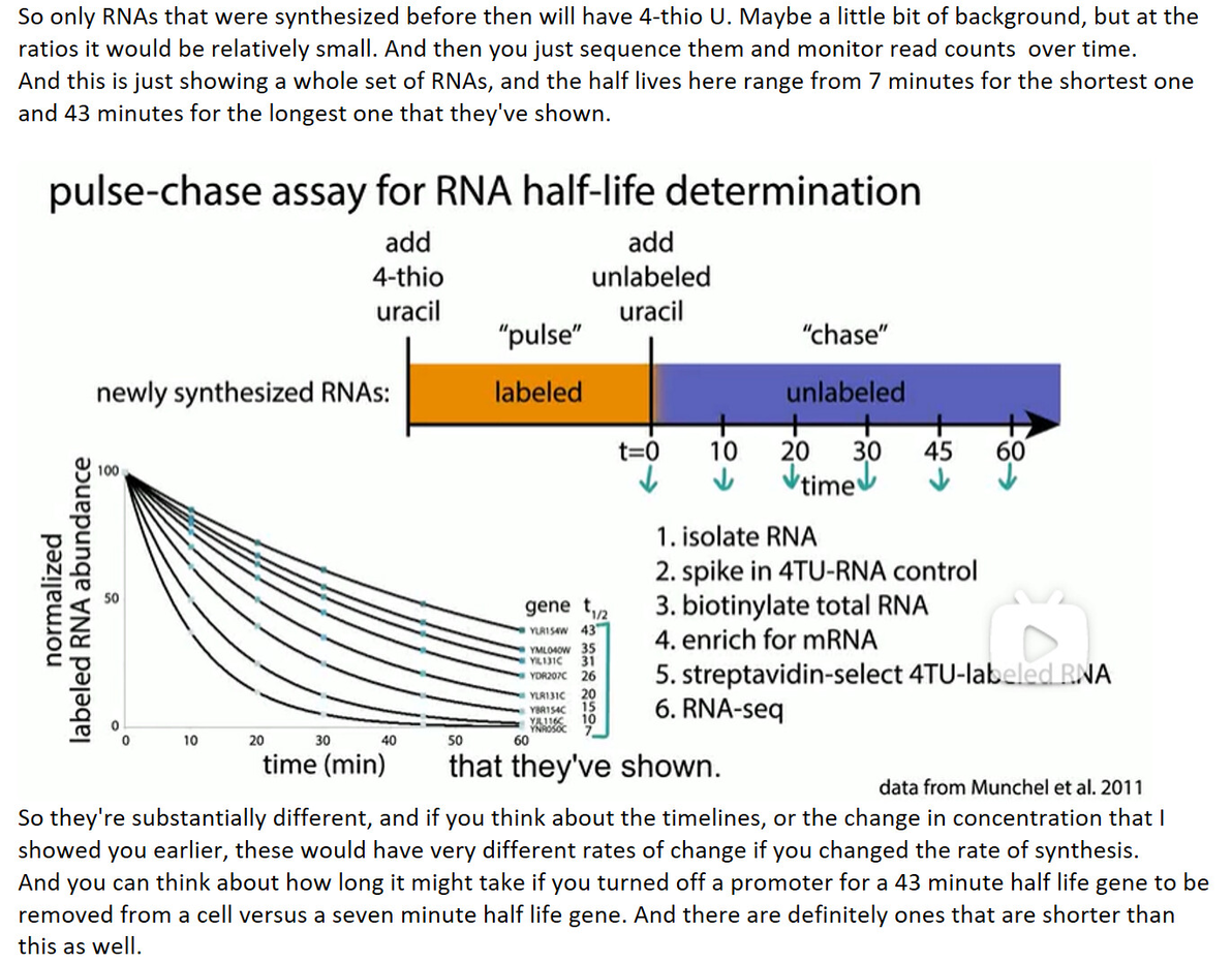 MIT 分子生物学 part3 7.6 RNA Pulse-Chase Assay - 哔哩哔哩