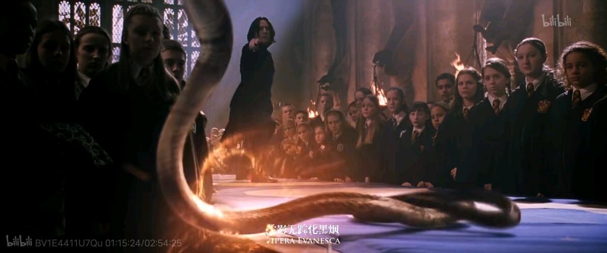 《哈利·波特》咒语汇总附部分咒语详解 - 哔哩哔哩