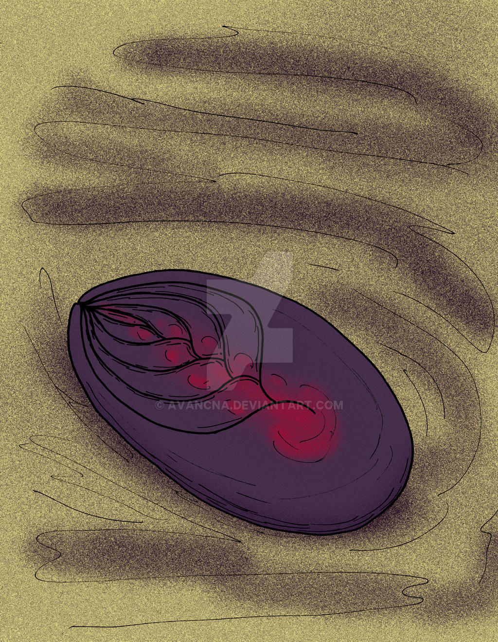 昙花一现，红映一时——前分节动物门（Proarticulata） - 哔哩哔哩